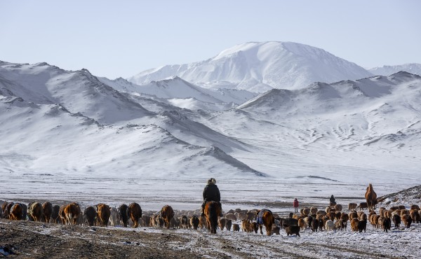 Mongolie | Arnaud Soalhat